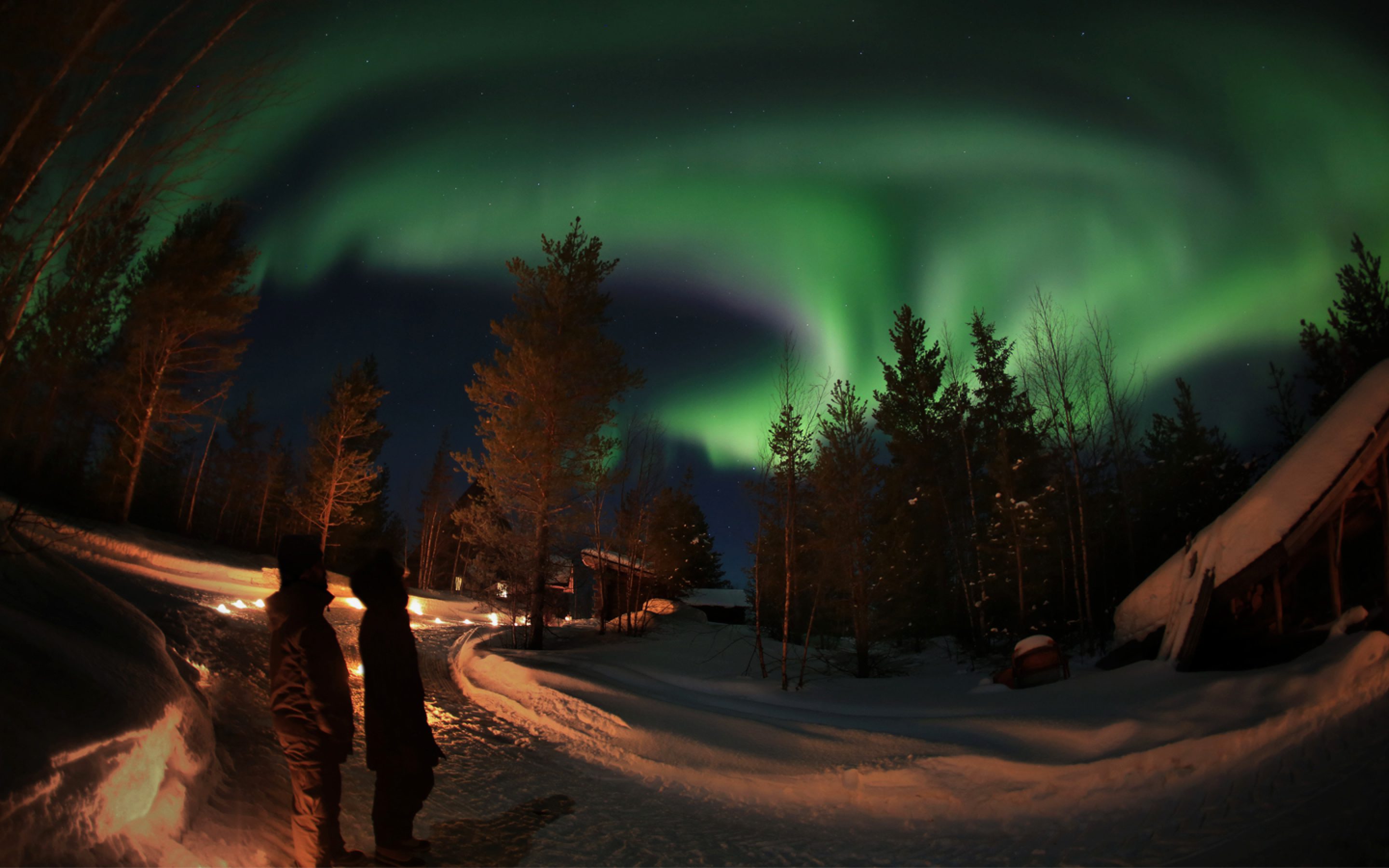 Experience Magical Extraordinary Journeys - Based On A True Story ...