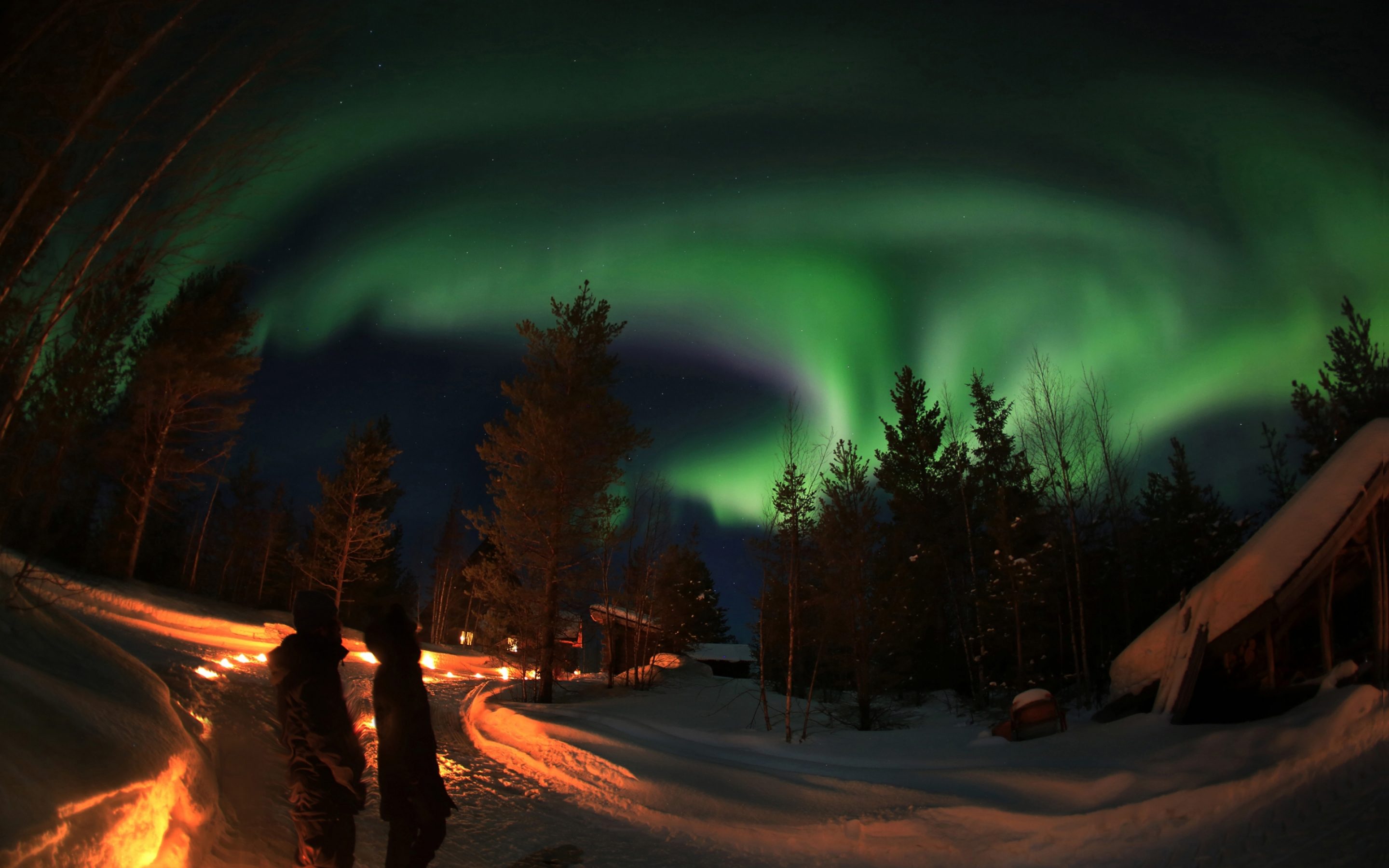 Experience Magical Extraordinary Journeys - Based On A True Story ...